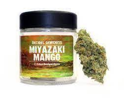 DECIBEL GARDENS - Miyazaki Mango 1/8 3.5G