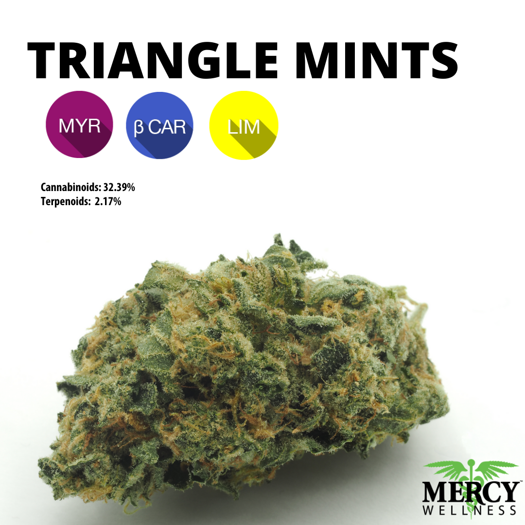 MERCY WELLNESS - Triangle Mints Gram 1G